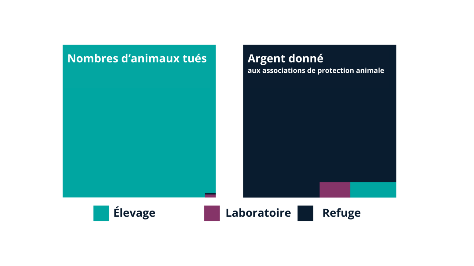 Soutenir le bien-être animal : tout savoir sur la cause animale