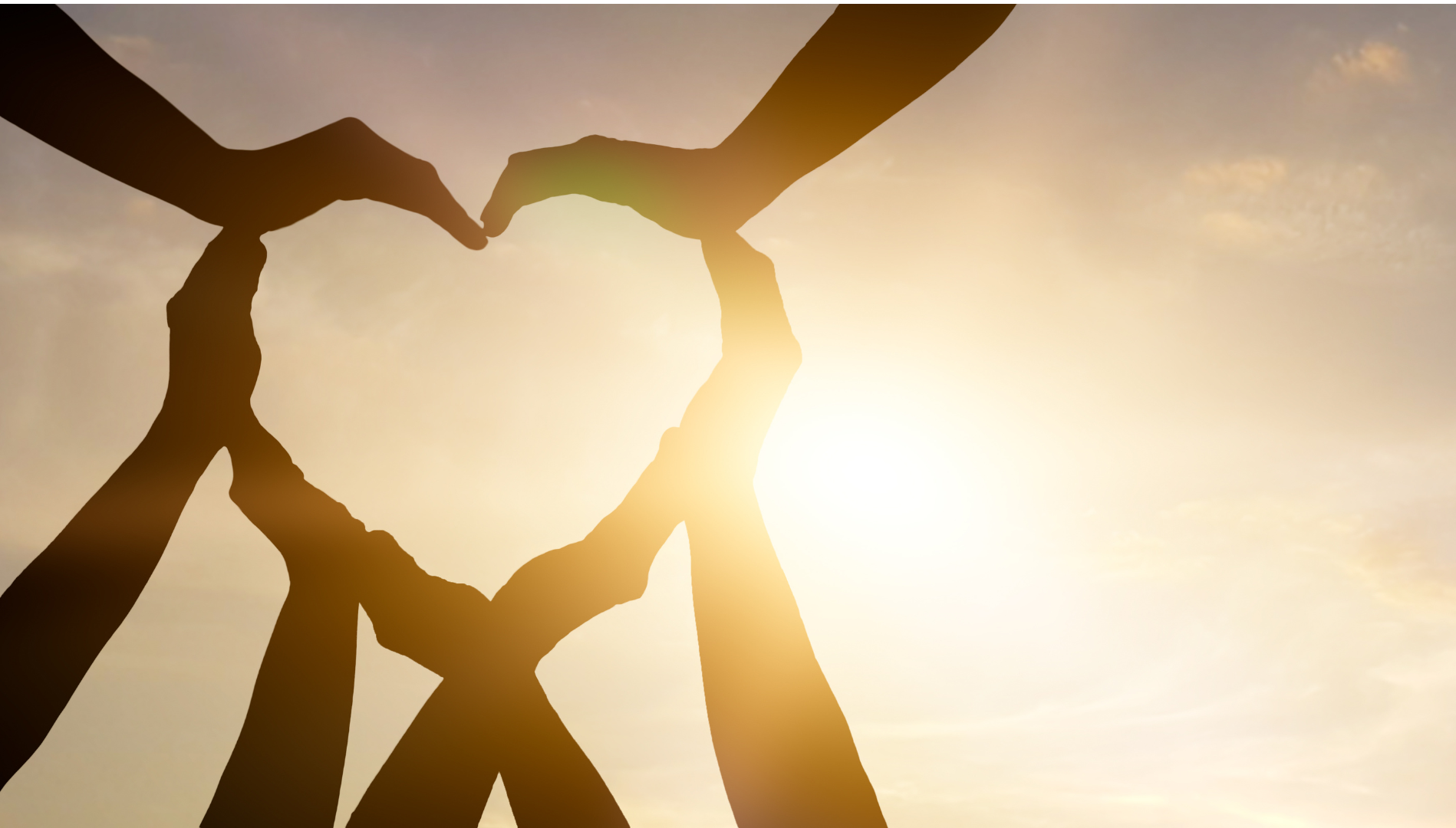 Action Caritative : comment aider les associations et faire une ...